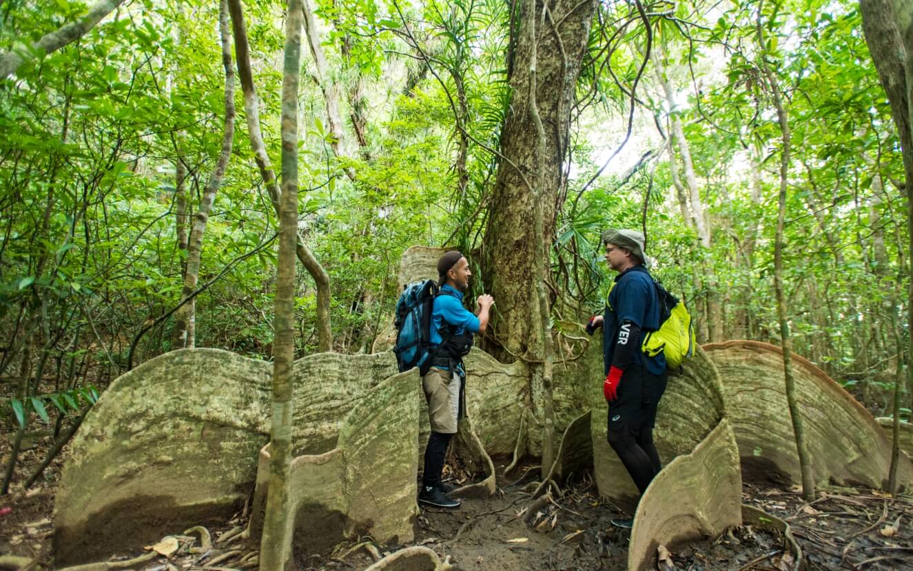 Iriomote Island | Be.Okinawa