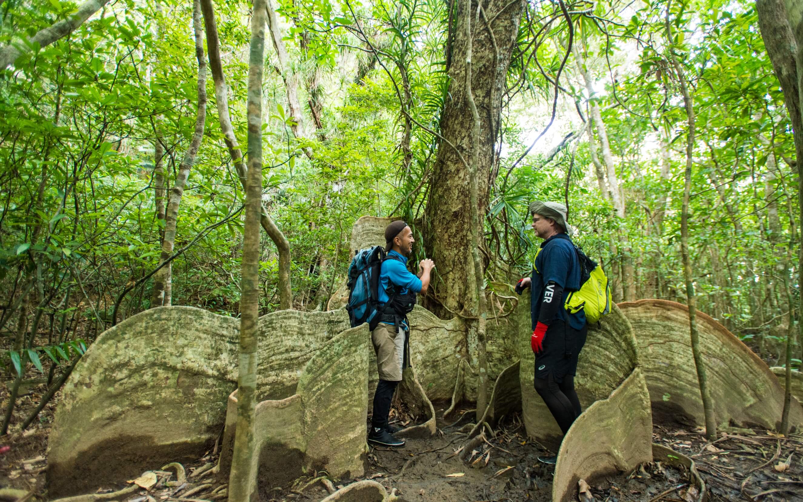 Iriomote Island | Be.Okinawa