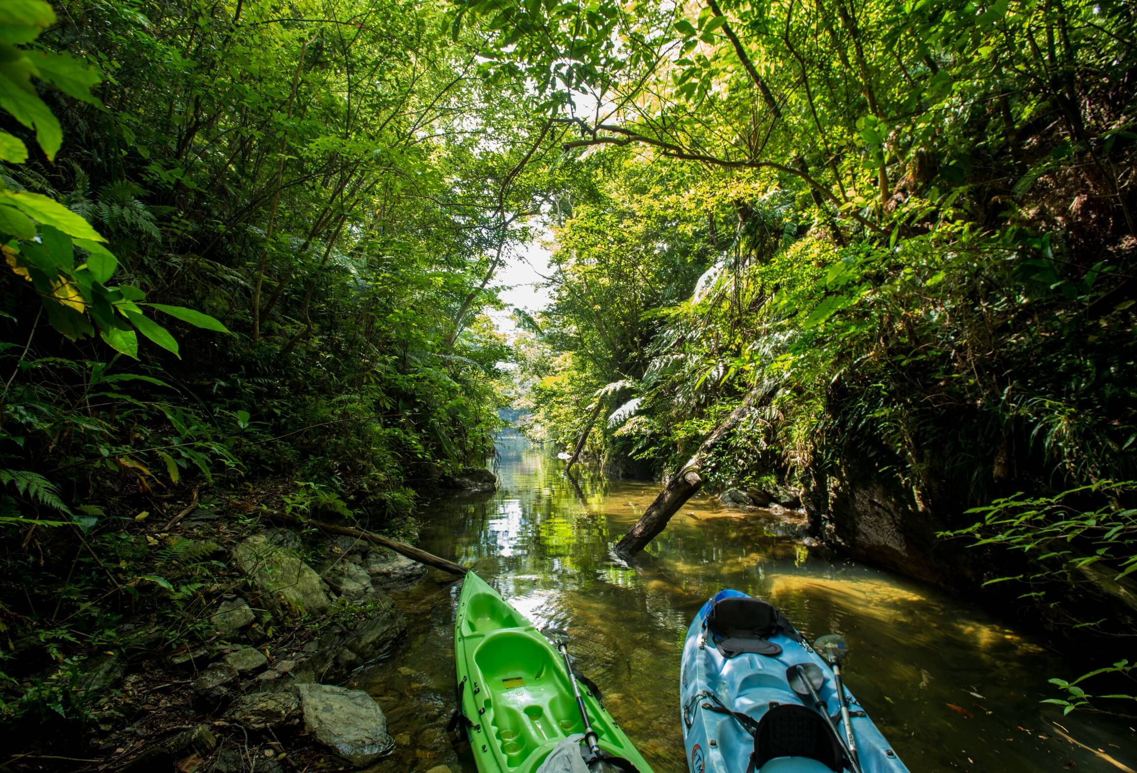 Yanbaru | Be.Okinawa